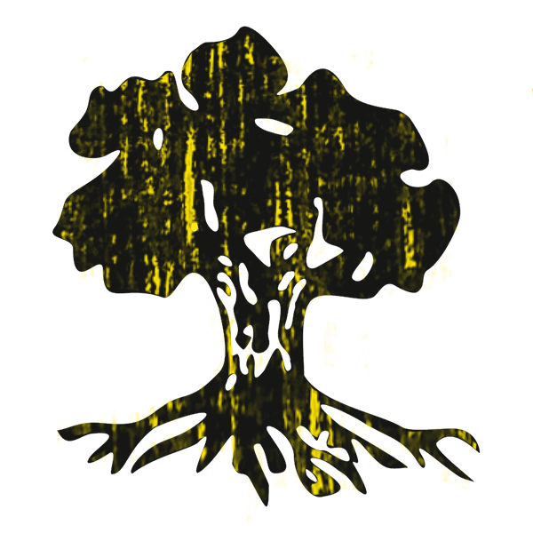 עמותת גדעון ⋆ Gdud 13 in the Golani division